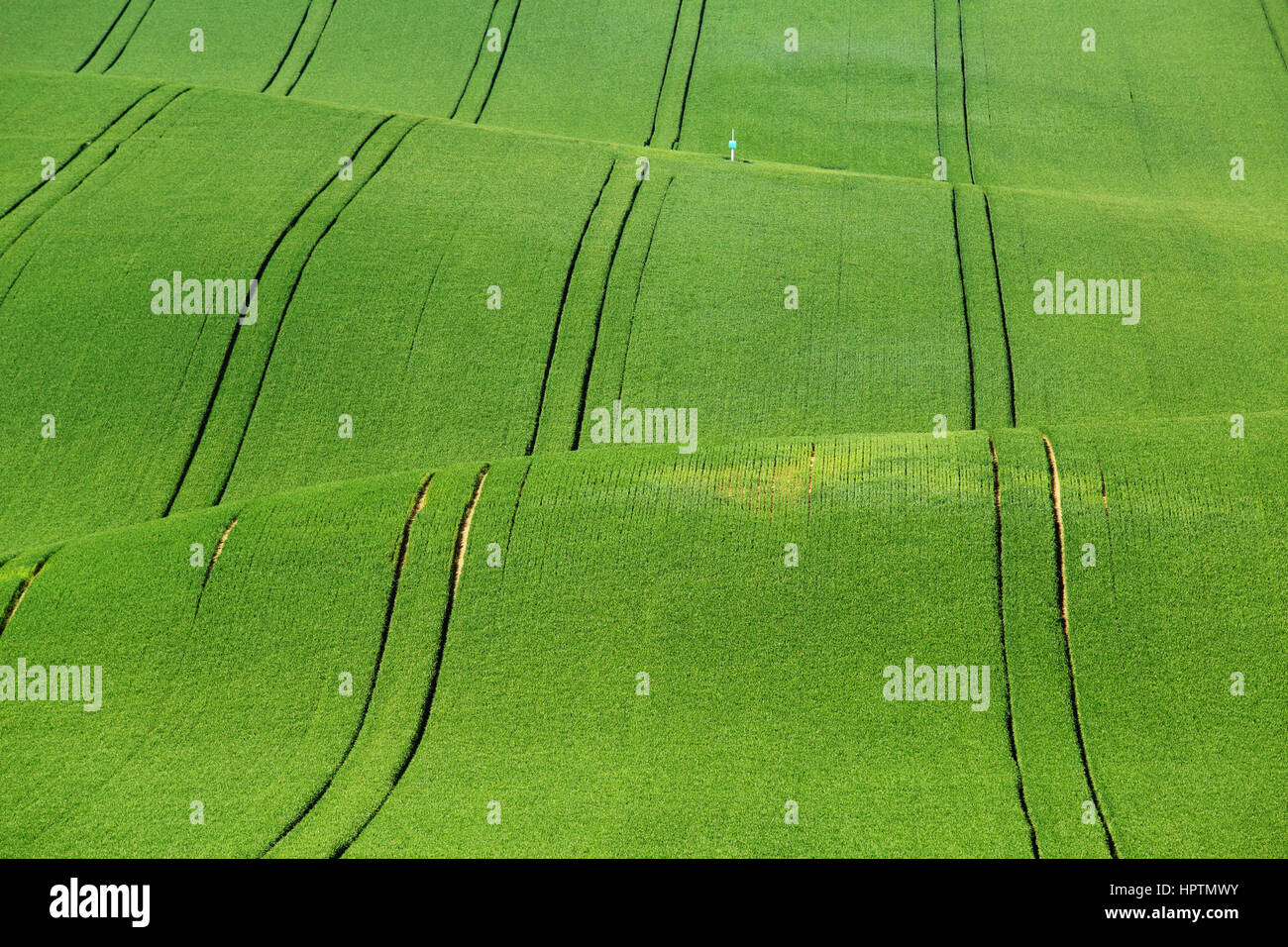 Wavy grass field hi-res stock photography and images - Alamy