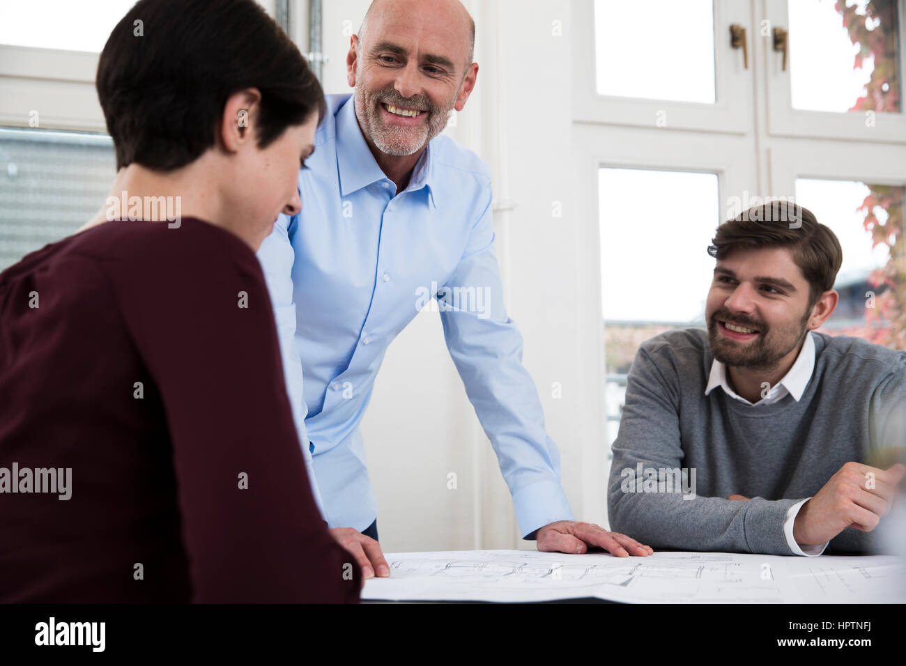 Smiling colleagues working together in office Stock Photo - Alamy