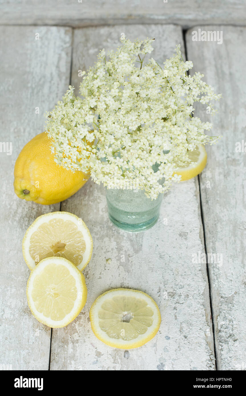 Elderflowers and sliced lemon Stock Photo - Alamy