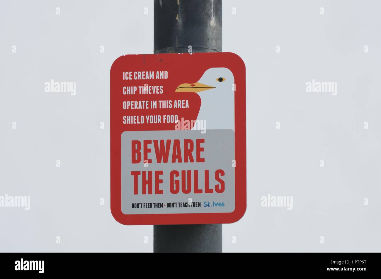 Seagull warning sign hi-res stock photography and images - Alamy