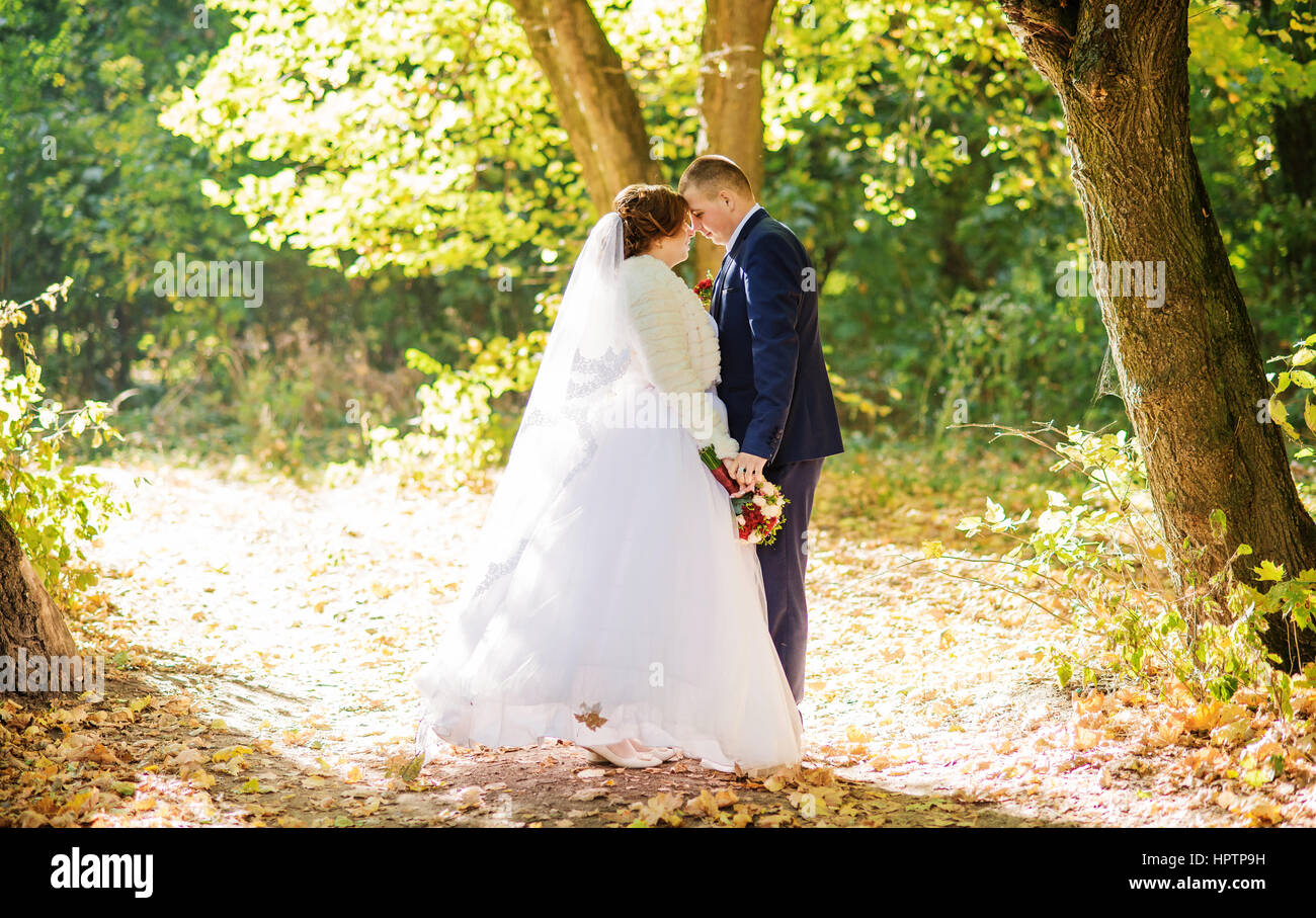Loving wedding couple hugging at autumn forest with yellow leaves and sunny day Stock Photo - Alamy