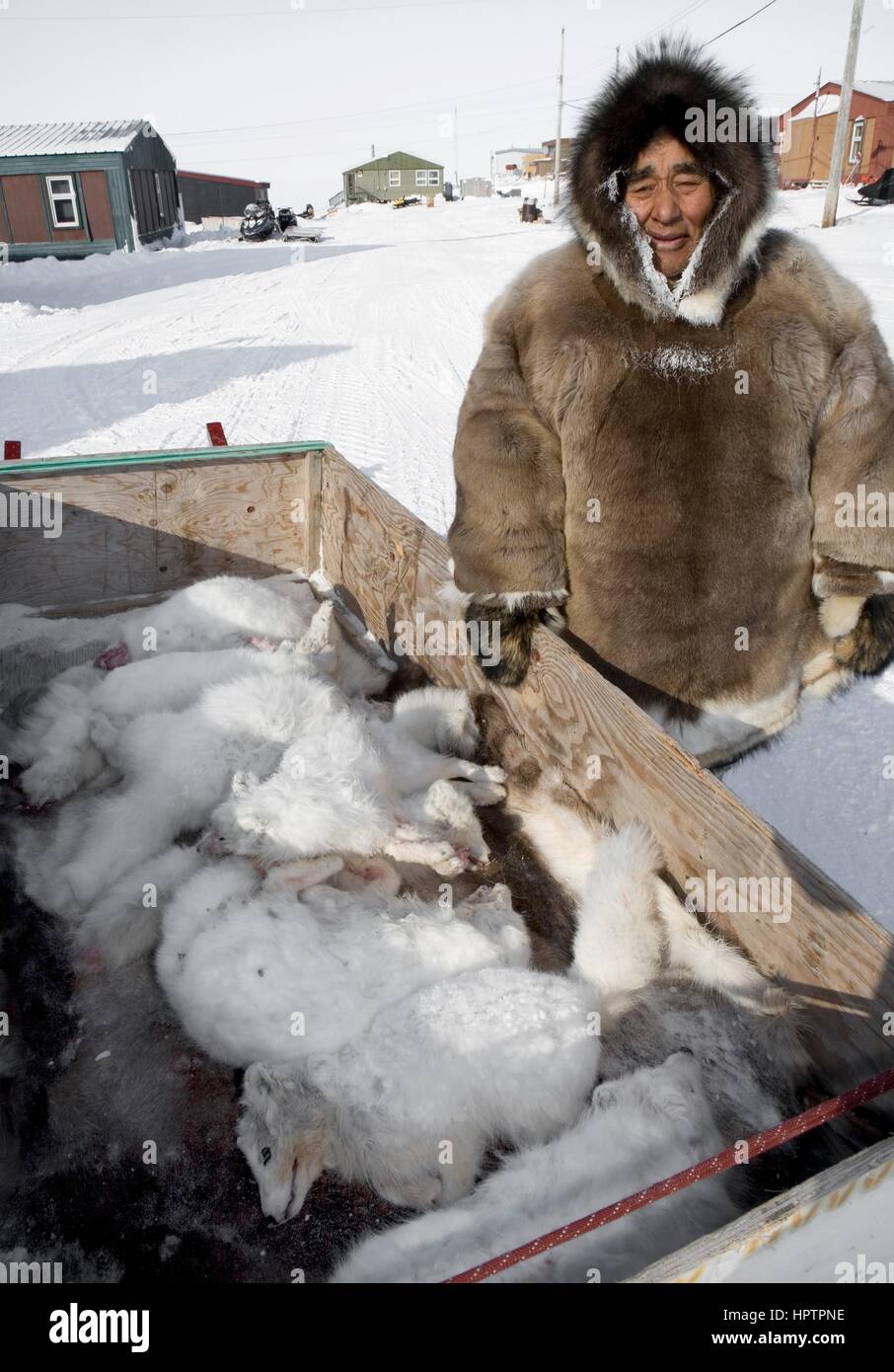 Inuits canada and hunting hi-res stock photography and images - Alamy