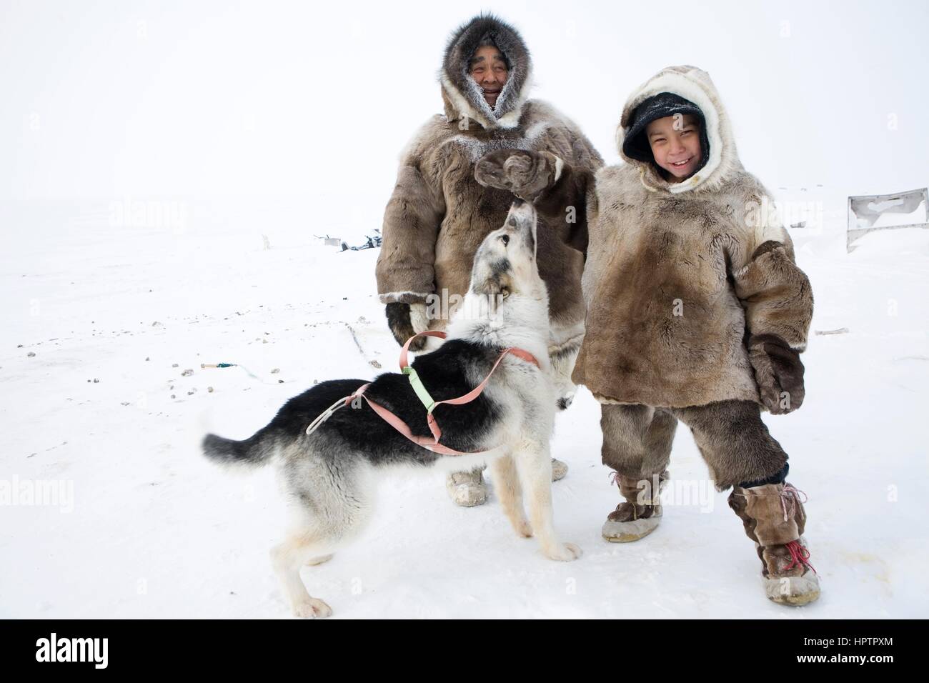 Inuits in Canada are hunting animals for fur Stock Photo - Alamy