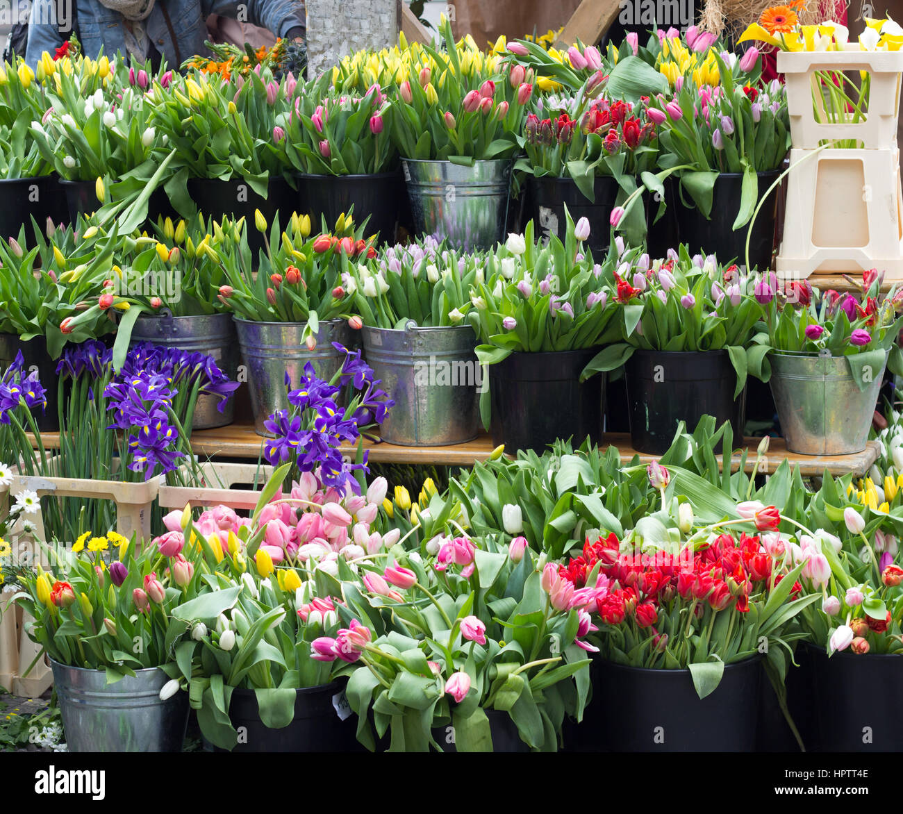Street flower stand hi-res stock photography and images - Alamy