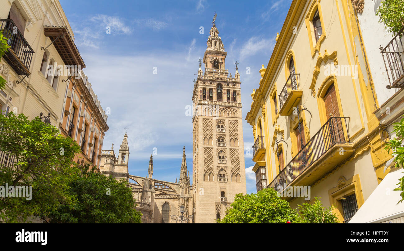 street view of sevilla cathedral Stock Photo - Alamy