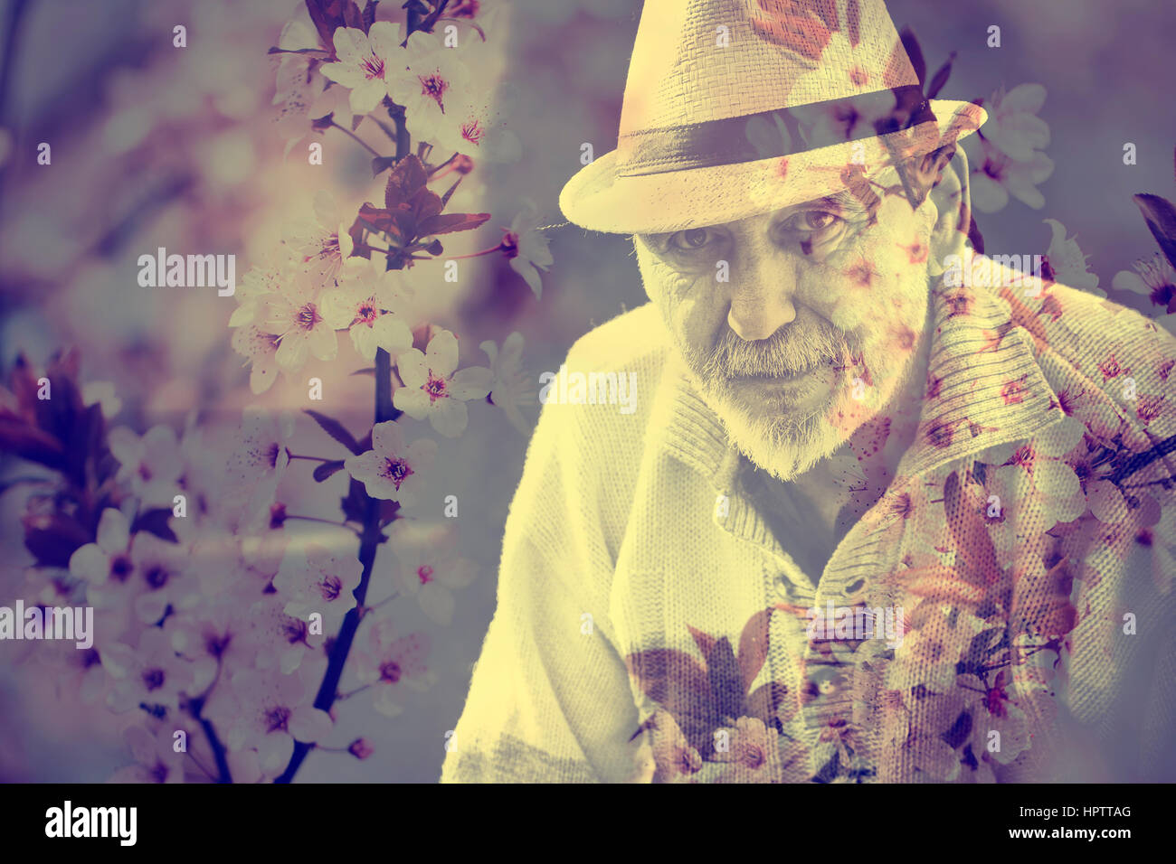 Old senior man double exposure photo Stock Photo - Alamy
