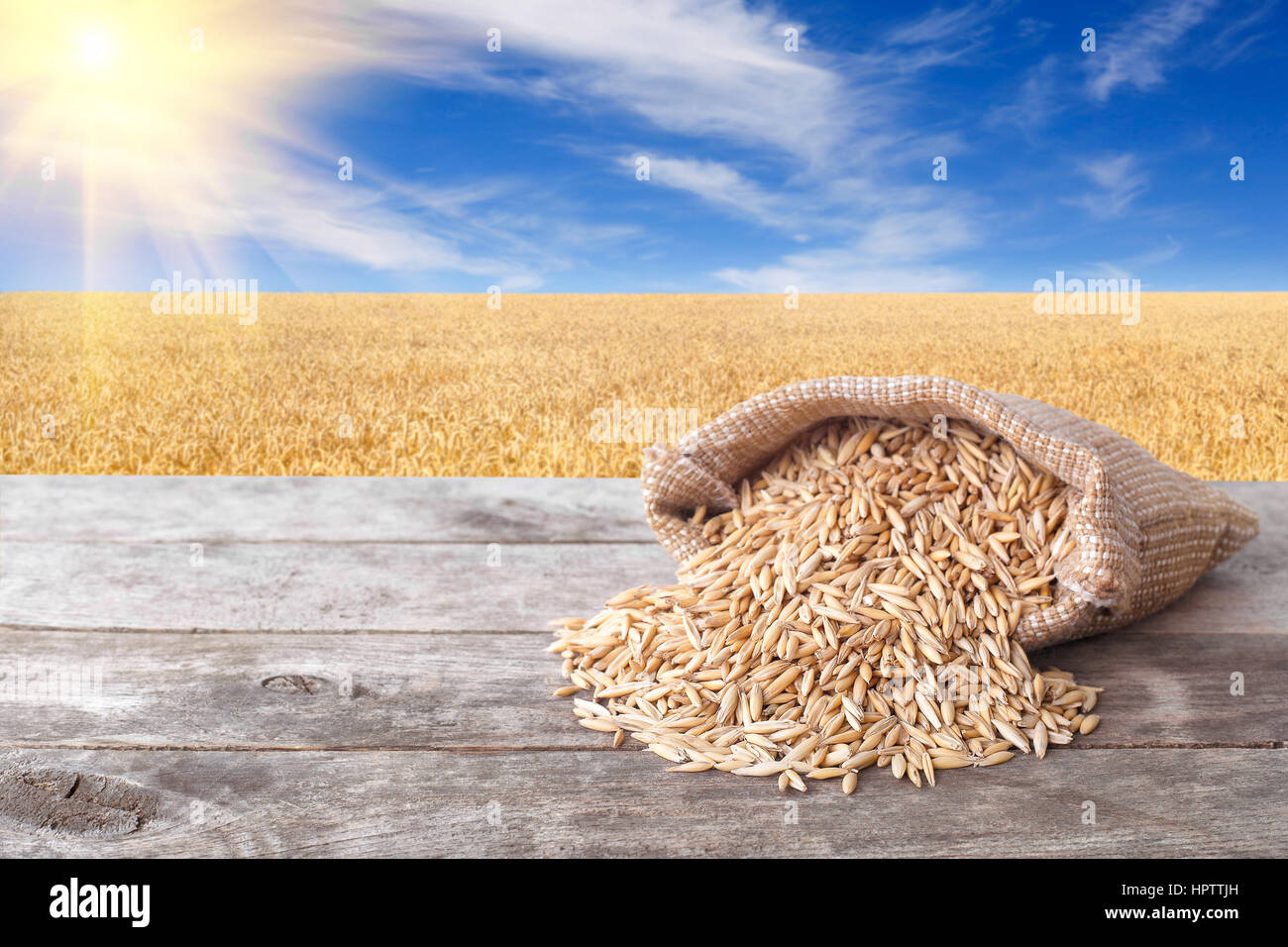 Grains of oat on wooden table with field on the background. Ripe field ...