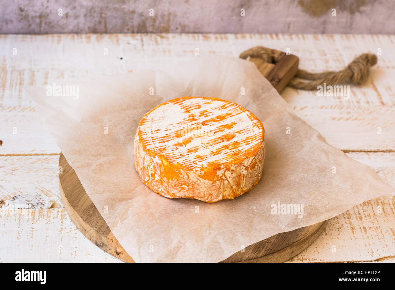 Whole wheel of soft French, German cheese with orange rind with mold on ...