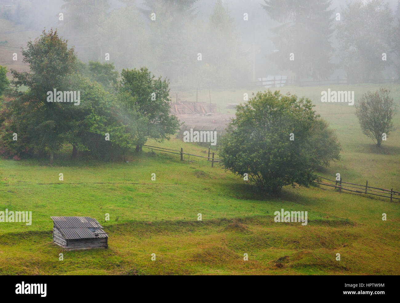 fog in countryside with green hills and trees Stock Photo - Alamy