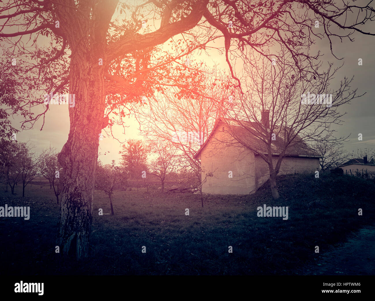 Old spooky abandoned ghost house Stock Photo - Alamy