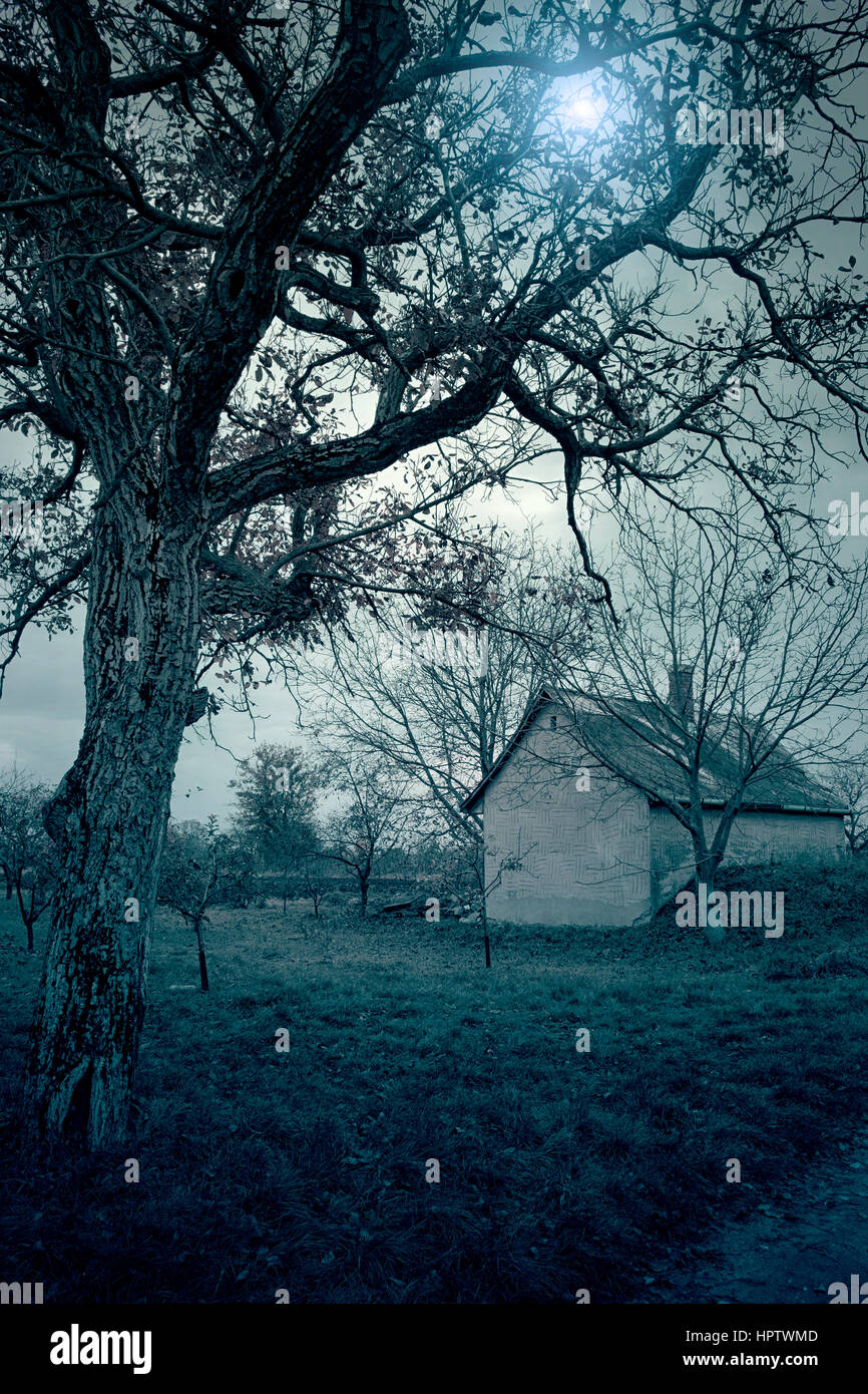 Old spooky abandoned ghost house Stock Photo - Alamy