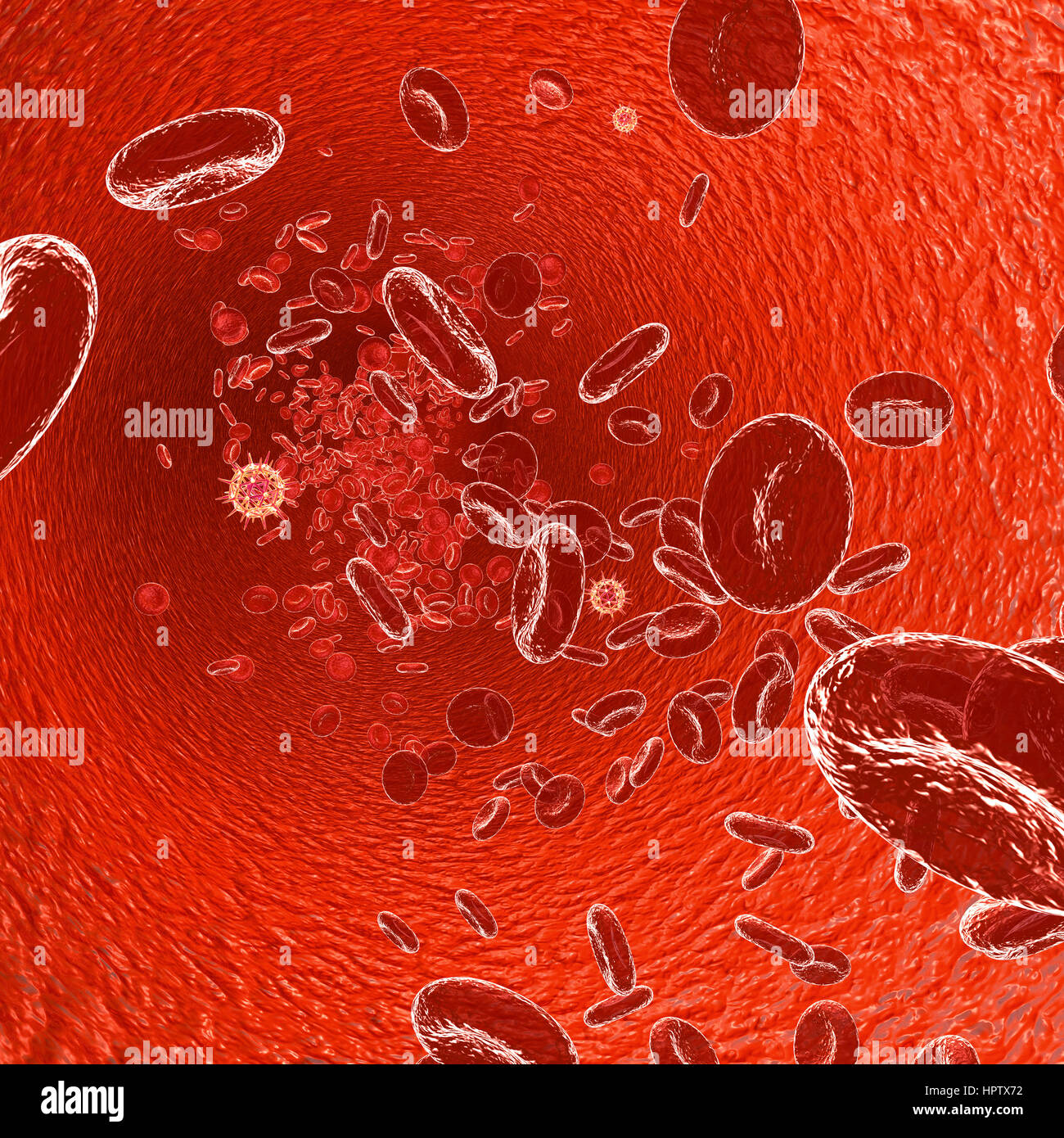 Red blood cell structure hi-res stock photography and images - Alamy