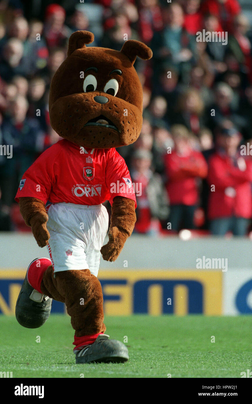 TOBY TYKE BARNSLEY MASCOT 23 March 1998 Stock Photo - Alamy