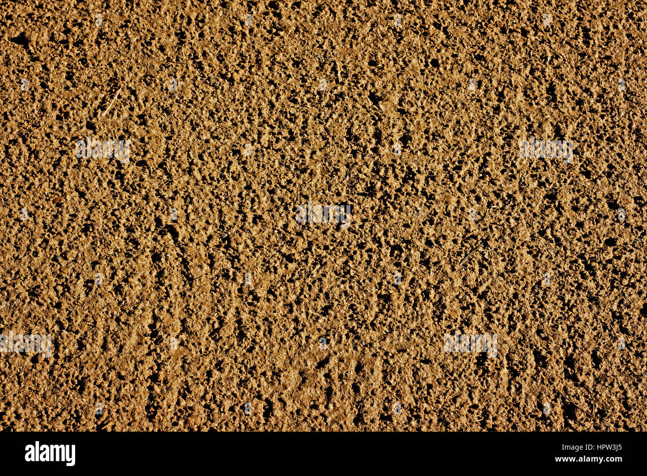 Newly raked soil ready for planting grass seed Stock Photo - Alamy