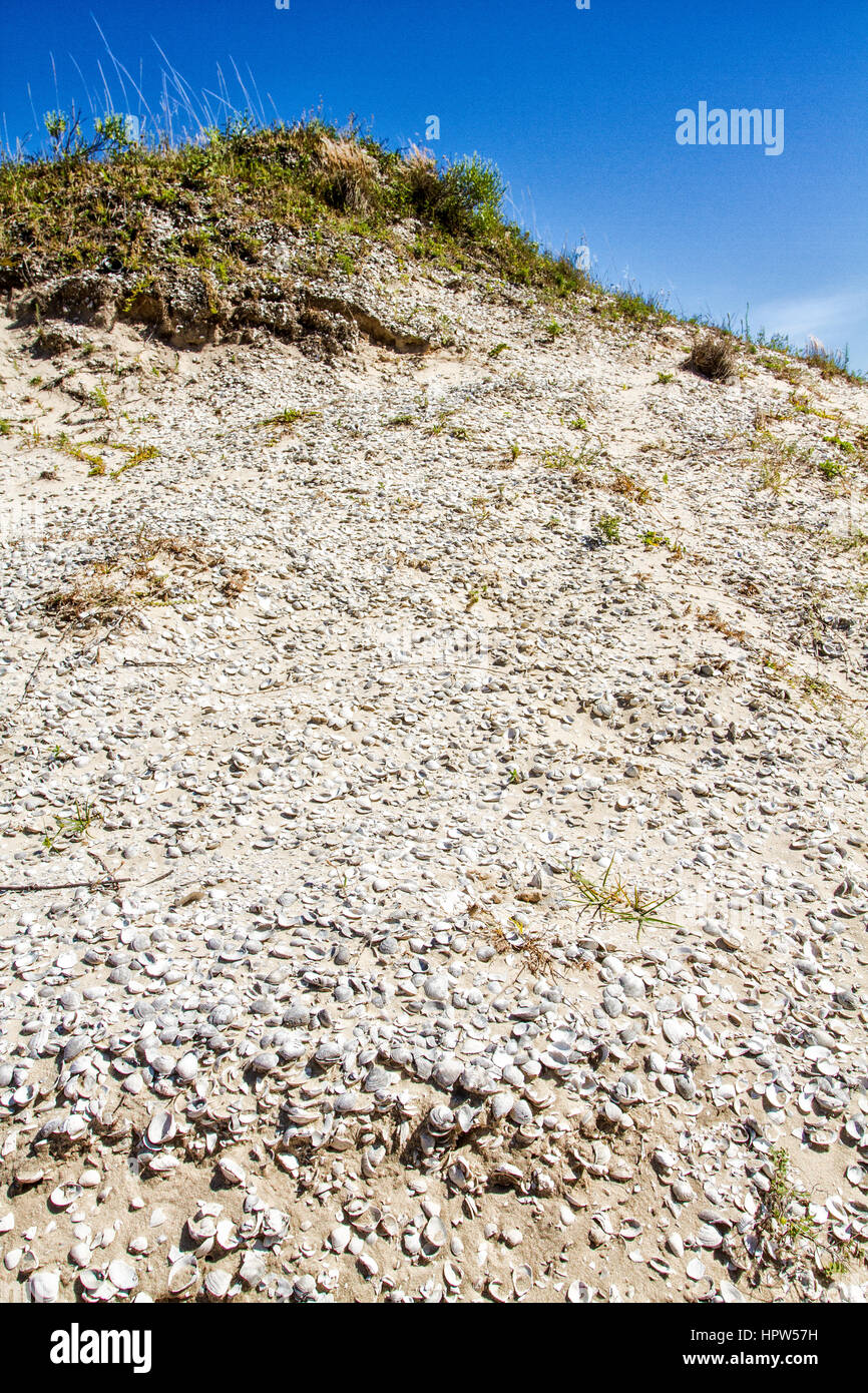 Shell midden in Garopaba do Sul district, an archeological site with ...