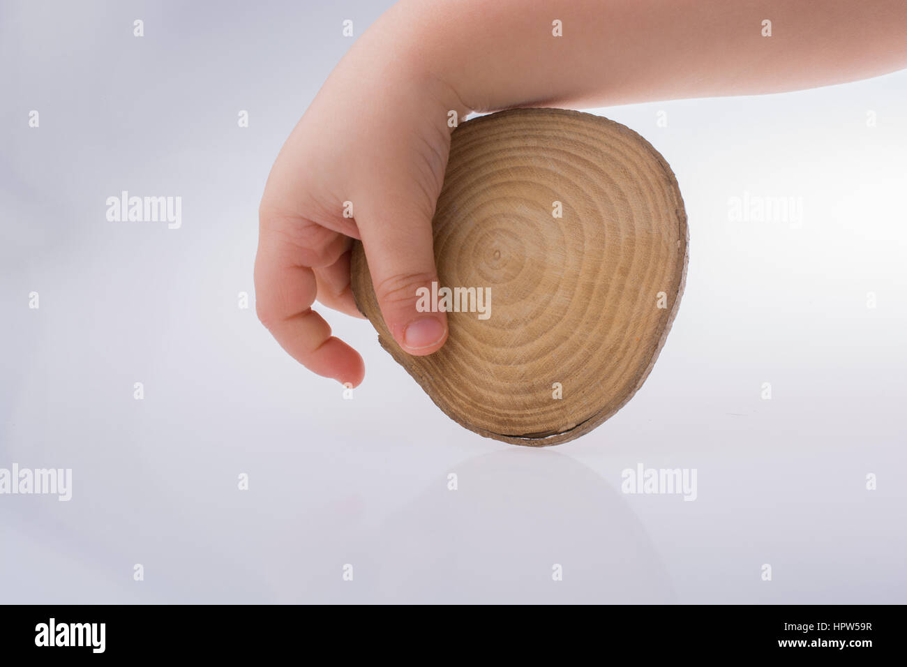 Wood Log cut in round thin pieces in hand on a white background Stock ...