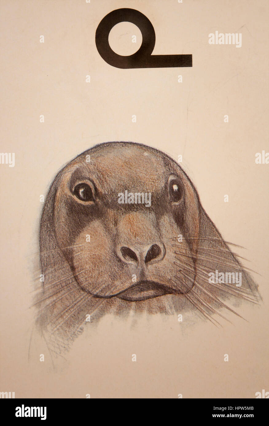 Inuit alphabet hi-res stock photography and images - Alamy