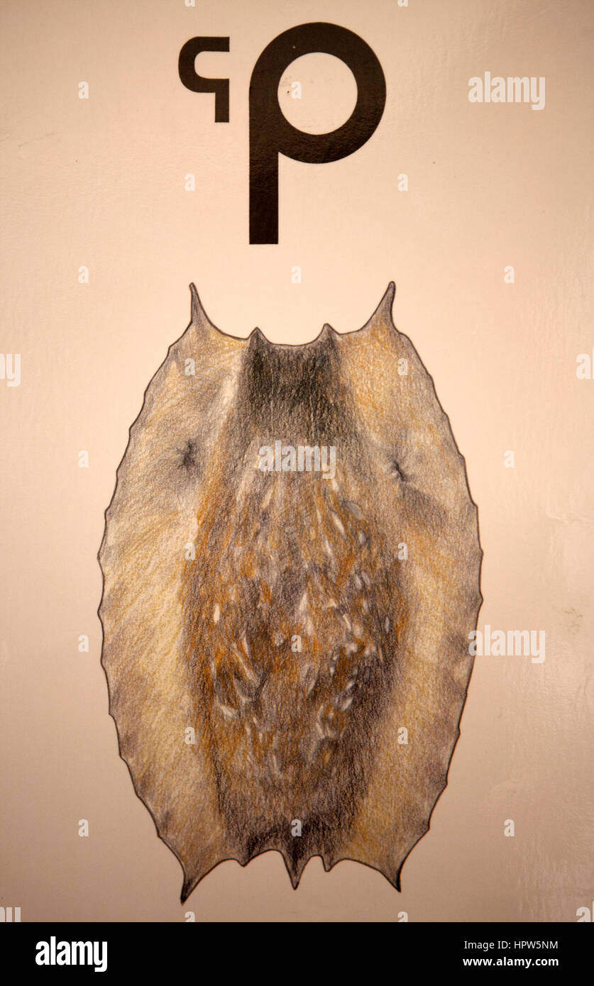 Inuit alphabet hi-res stock photography and images - Alamy