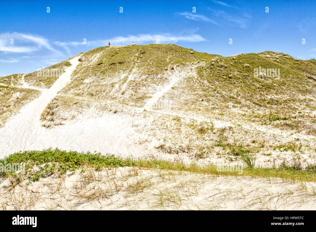Shell midden in Garopaba do Sul district, an archeological site with ...