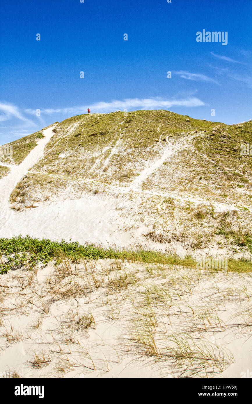 Shell midden in Garopaba do Sul district, an archeological site with ...