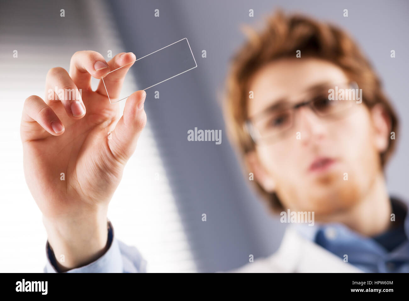 Young researcher holding a microscope glass slide in the laboratory ...