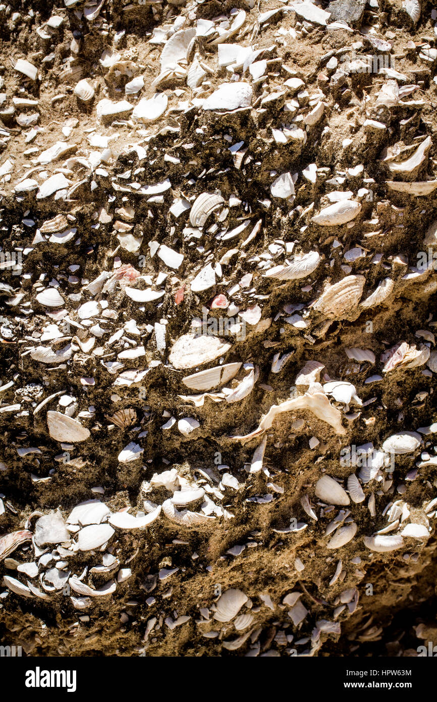 Shell midden hi-res stock photography and images - Alamy