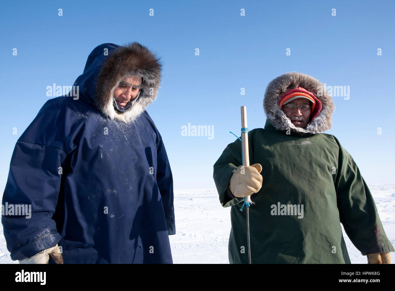 Inuits are hunting on the northpole Stock Photo - Alamy