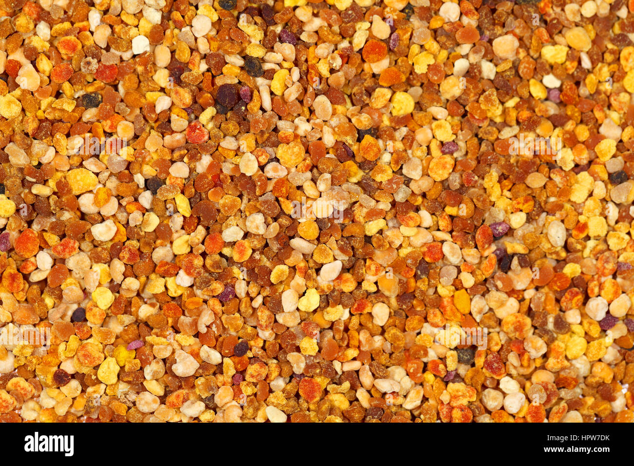 Extreme close up photo of colourful bee pollen Stock Photo - Alamy