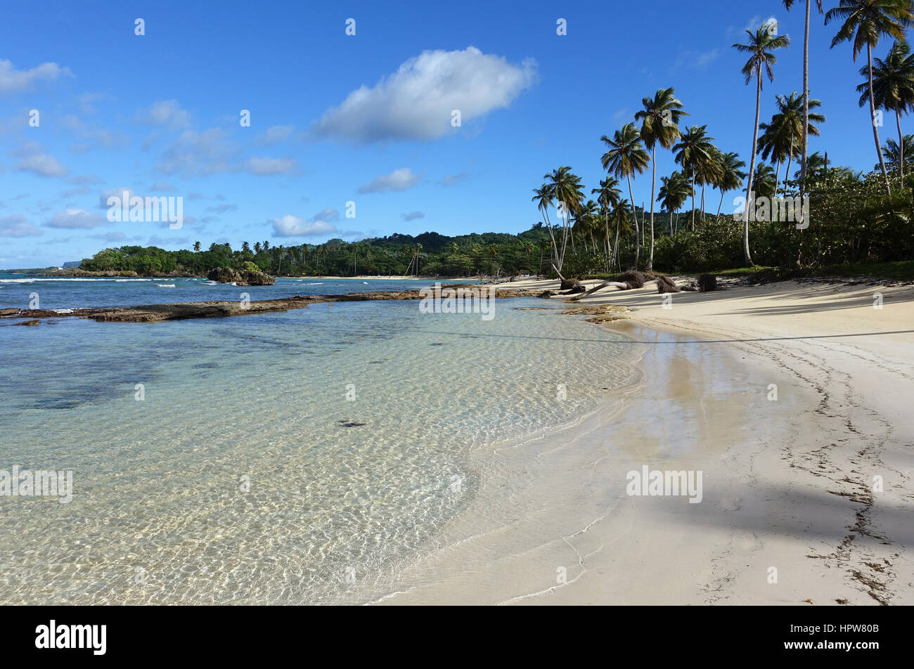 A postcard perfect sandy beach scene with clear, blue water, palm trees ...