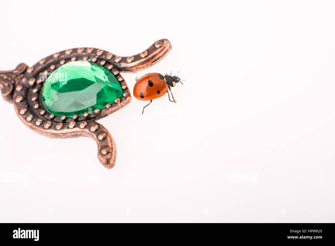 Beautiful photo of red ladybug walking around objects Stock Photo - Alamy