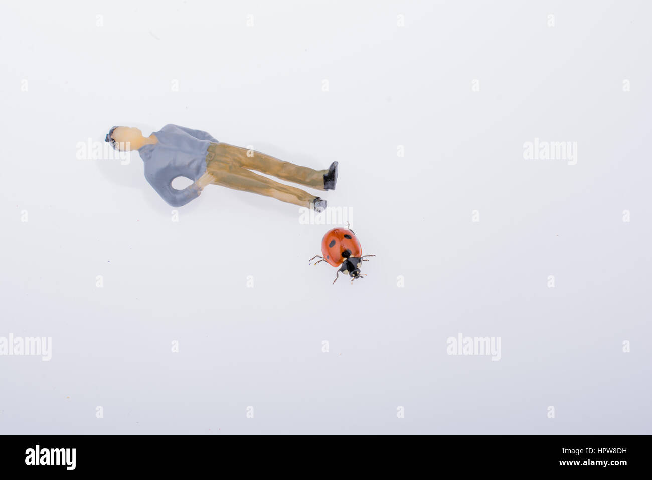 Ladybug walking on body of figurine man Stock Photo - Alamy