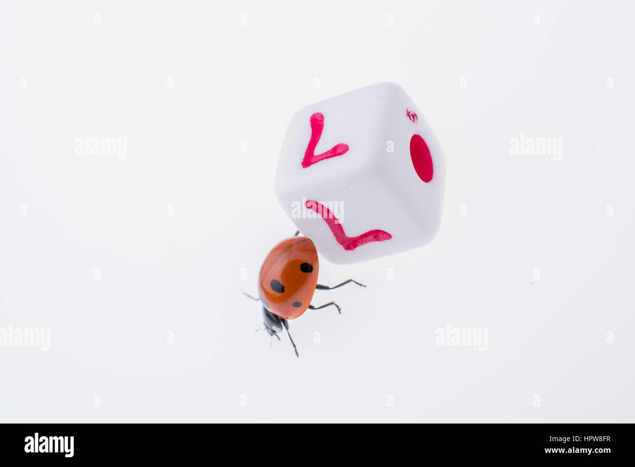 Beautiful photo of red ladybug walking on a letter cube Stock Photo - Alamy