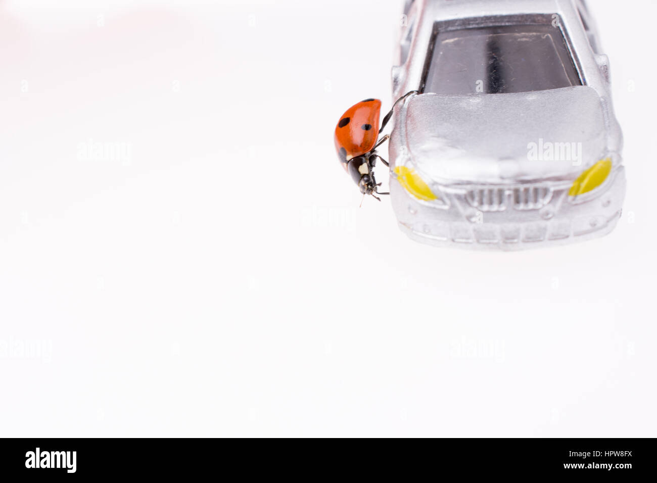 Beautiful photo of red ladybug walking on a model car Stock Photo - Alamy