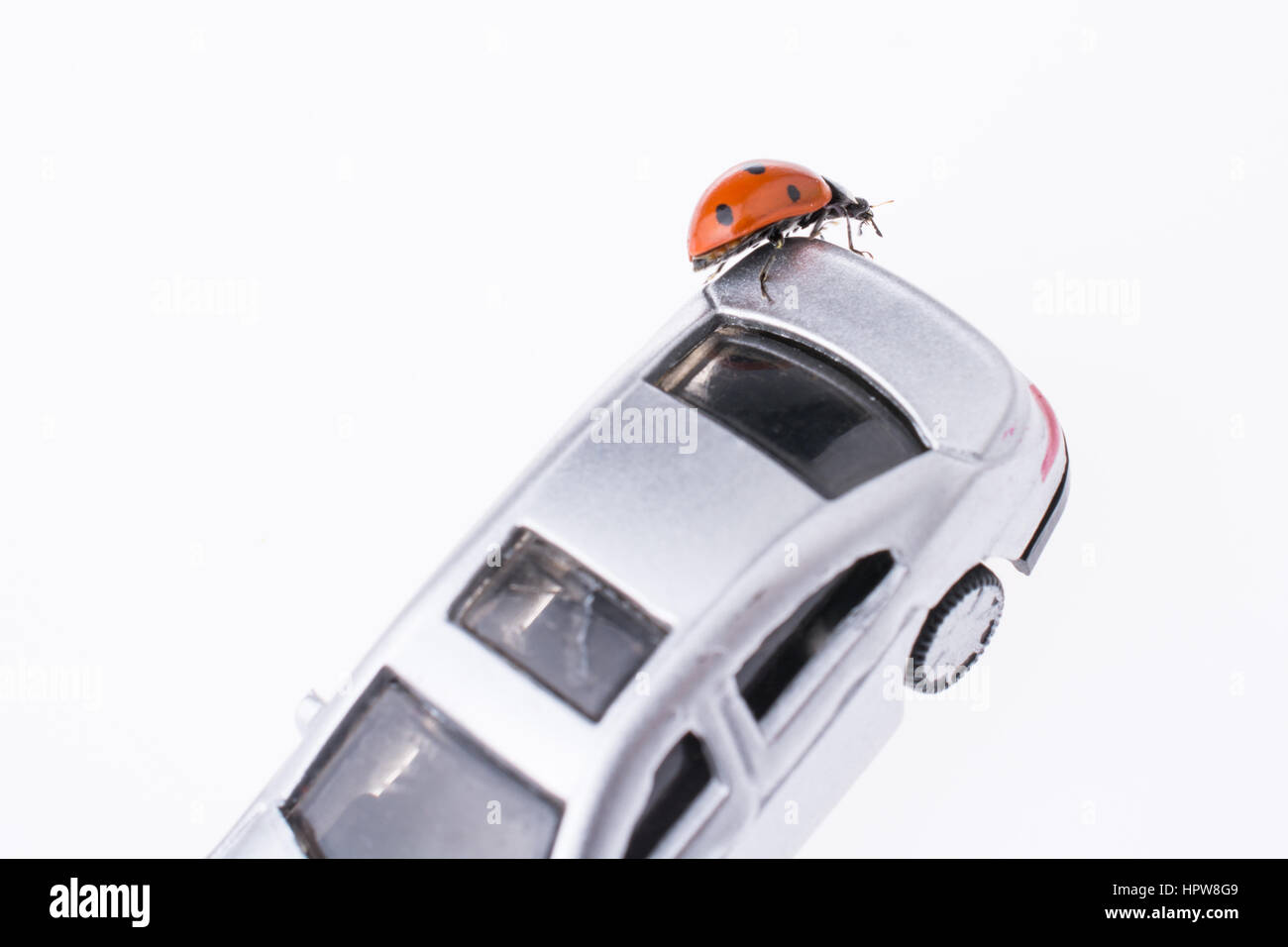 Beautiful photo of red ladybug walking on a model car Stock Photo - Alamy
