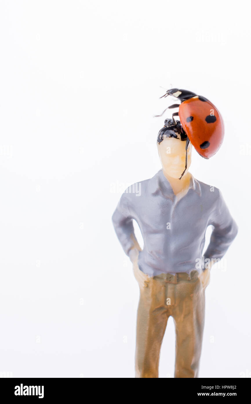 Ladybug walking on body of figurine man Stock Photo - Alamy