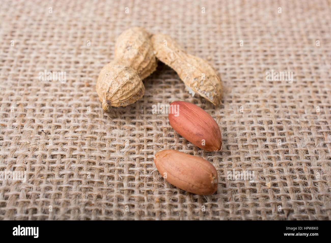 Cracked open peanut with shell on a linen canvas background Stock Photo ...
