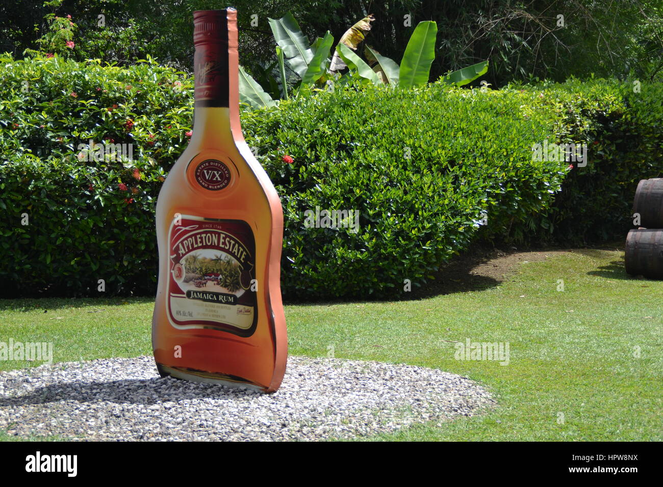 At rum factory Stock Photo - Alamy