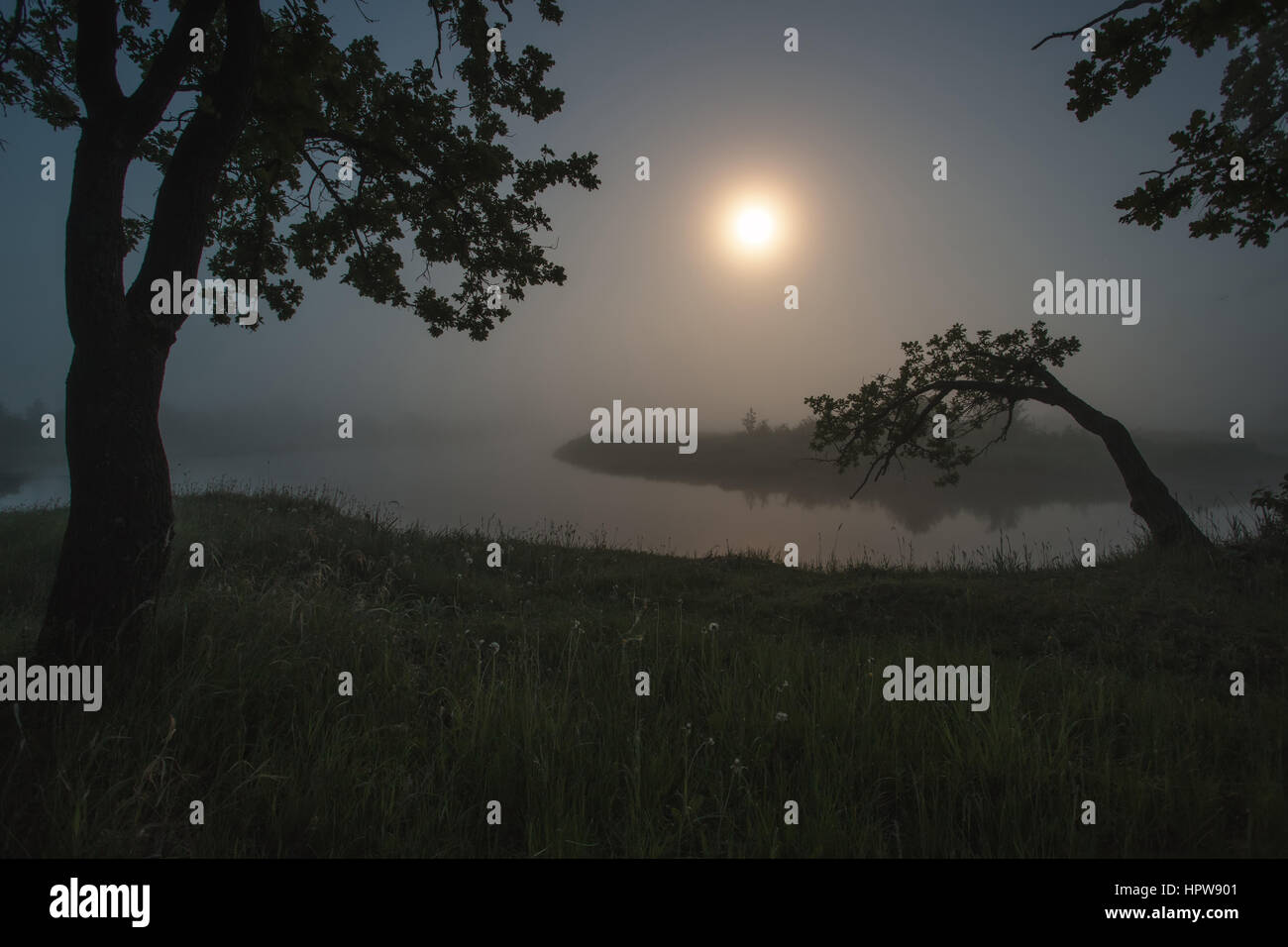 Night background moon tree hi-res stock photography and images - Alamy