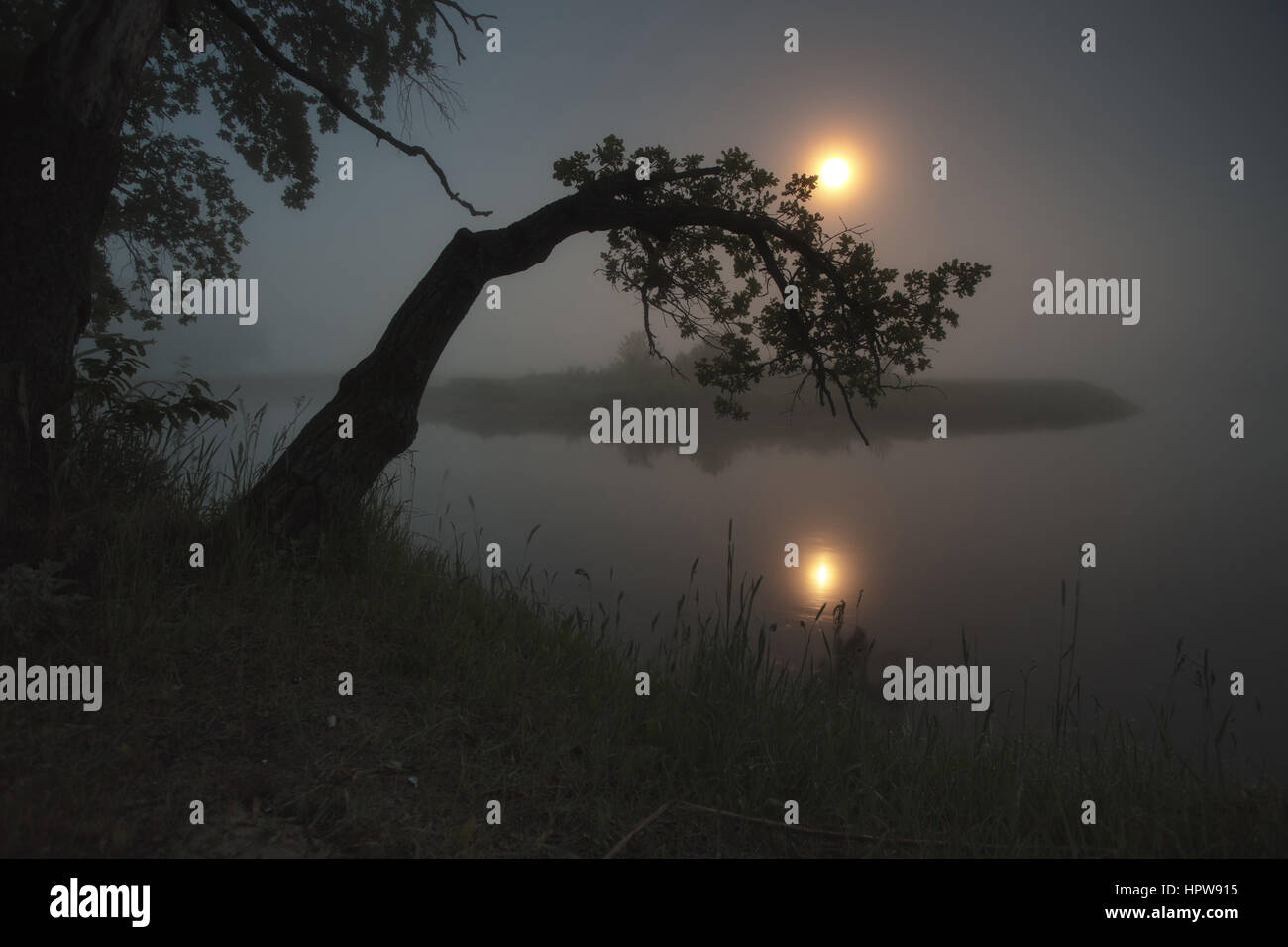 Misty night landscape, moon in foggy sky Stock Photo - Alamy