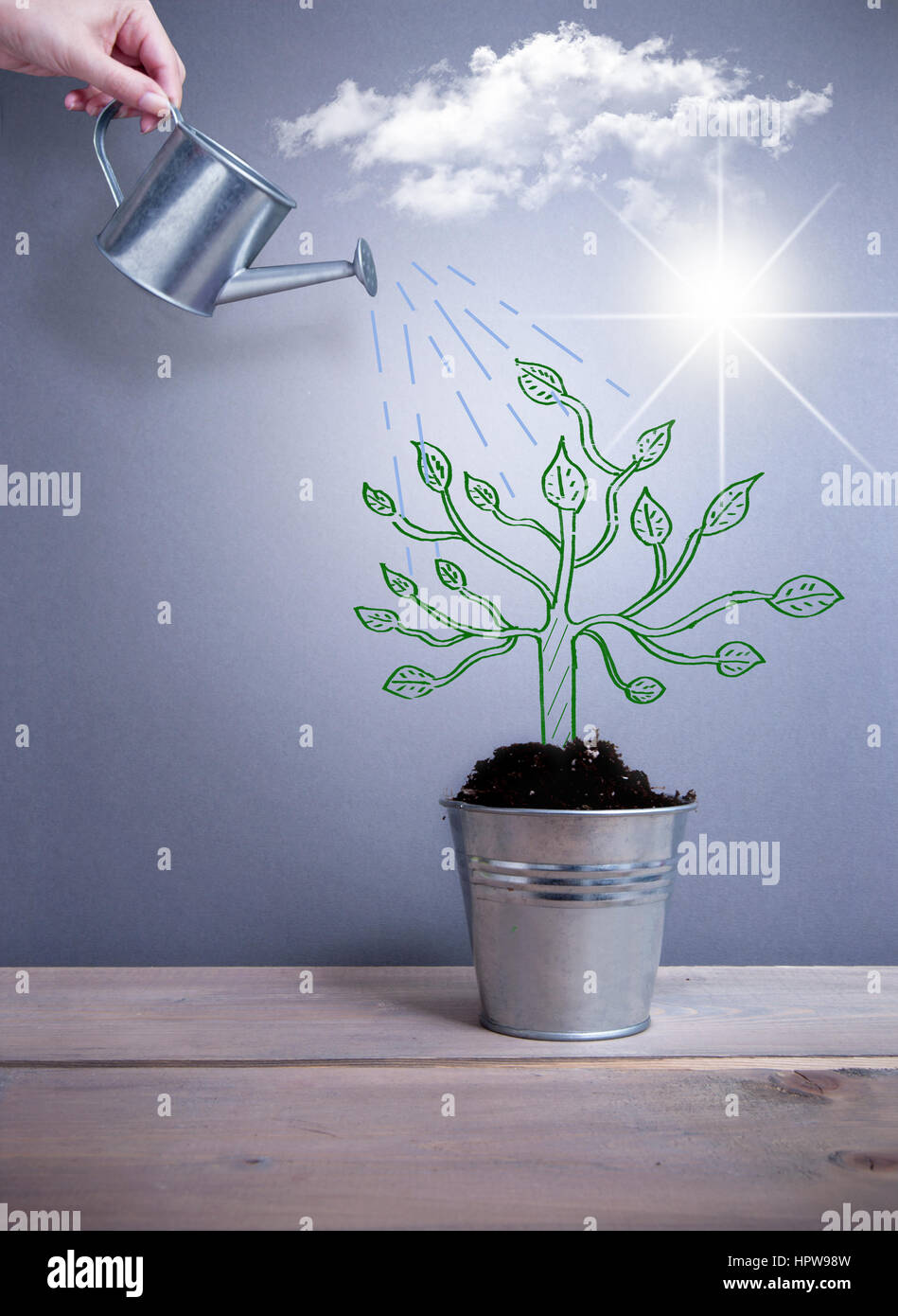 Sketch of a tree inside a pot being watered Stock Photo - Alamy