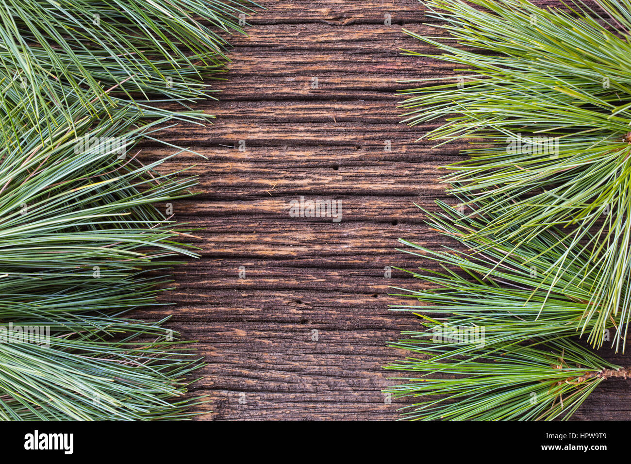 Christmas background with pine tree needles Stock Photo - Alamy