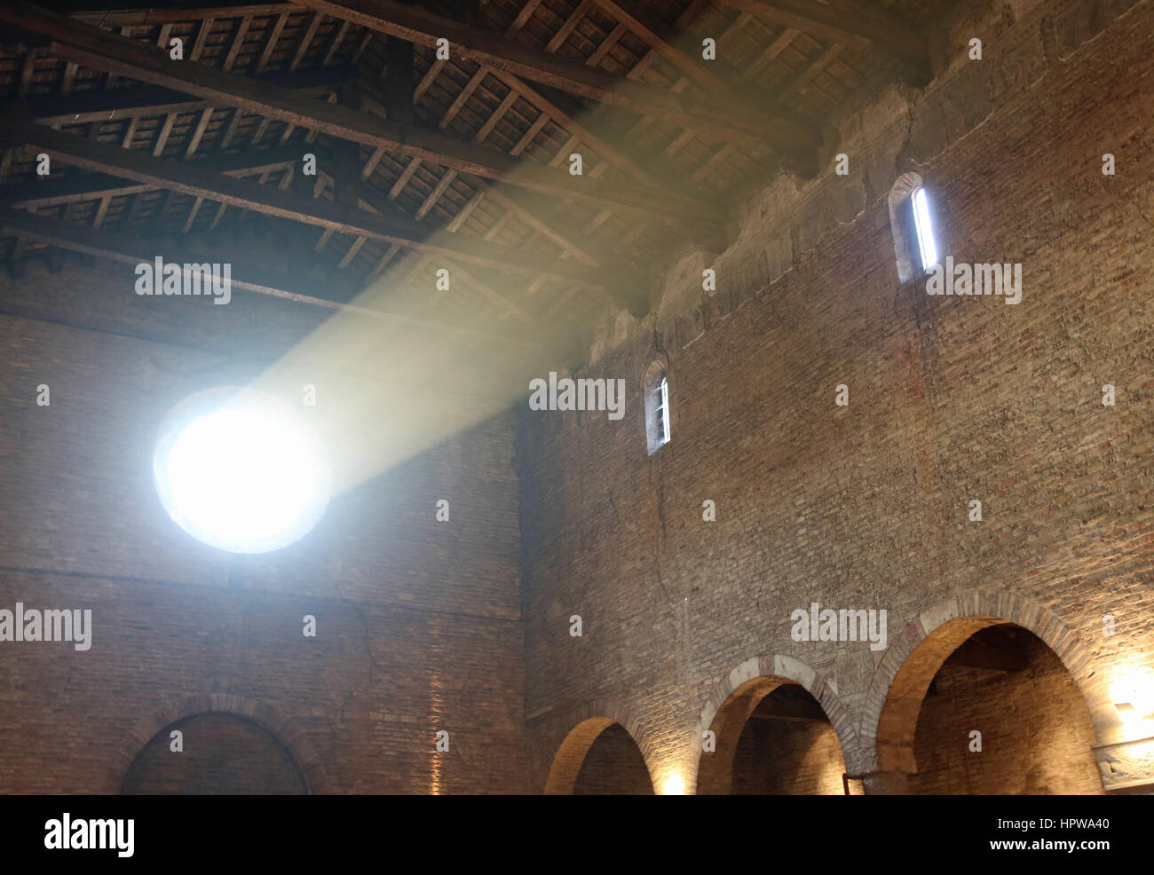 atmospheric beam of light that penetrates the canopy of an ancient ...