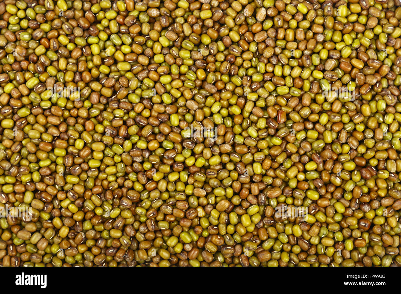 Green and brown dried Asian traditional mung (moong) gram beans close ...