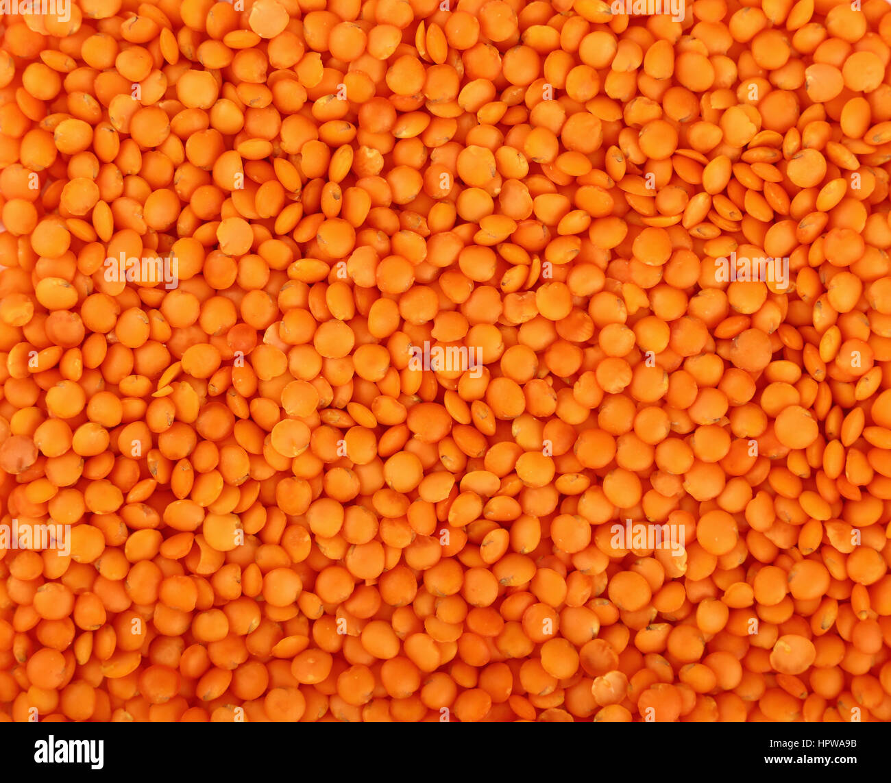 Orange Masoor Dal (Red Chief) lentil lens close up pattern background ...