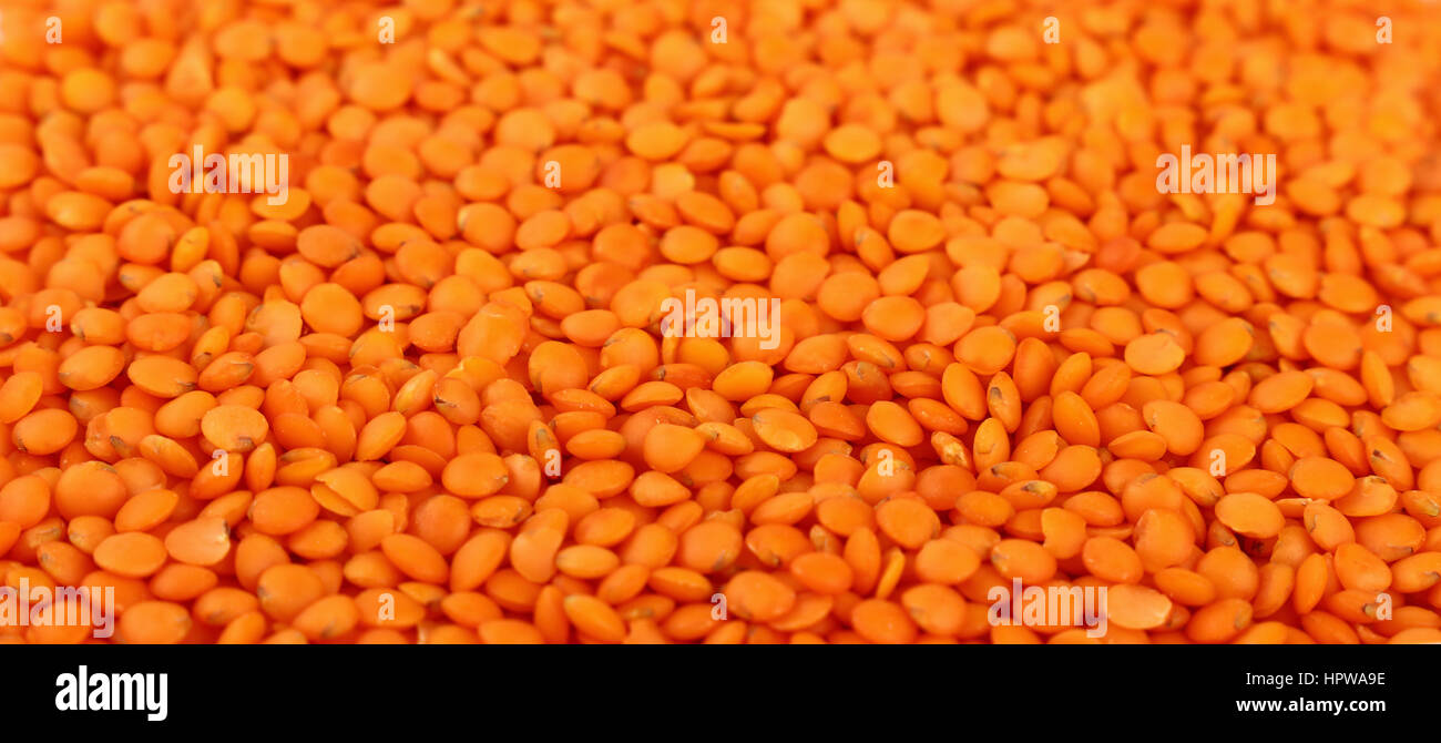 Orange Masoor Dal (Red Chief) lentil lens close up pattern background ...