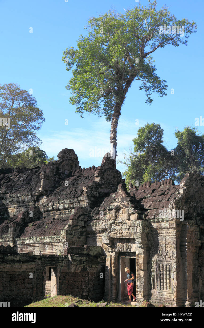 Tree growing on temple hi-res stock photography and images - Alamy