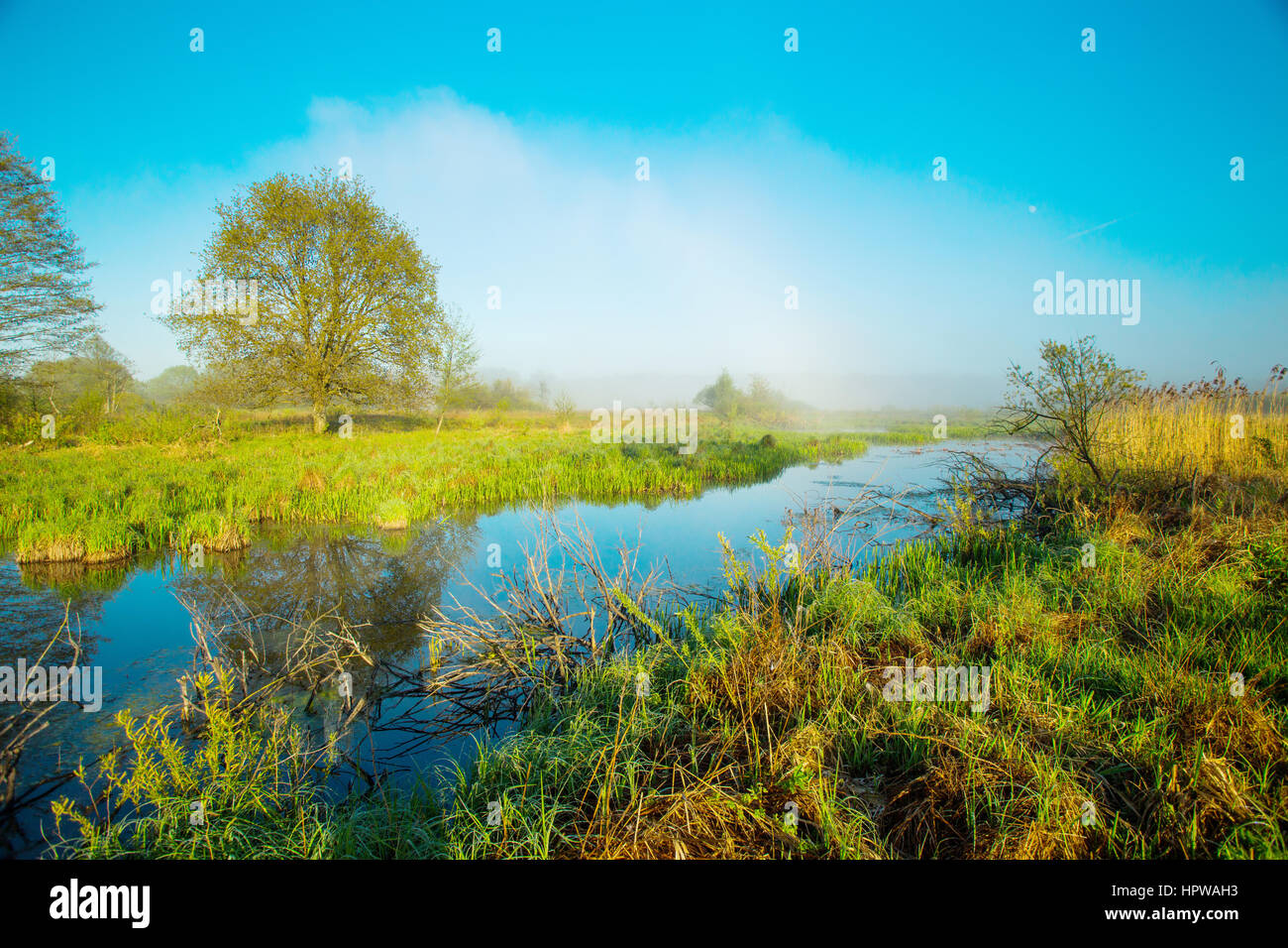 Green field clear blue river hi-res stock photography and images - Alamy