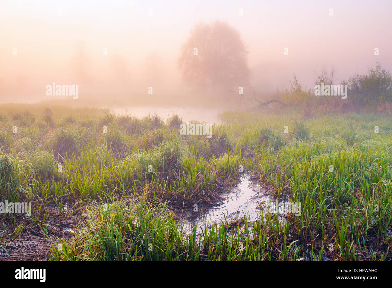 Panorama panoramic spring hi-res stock photography and images - Alamy