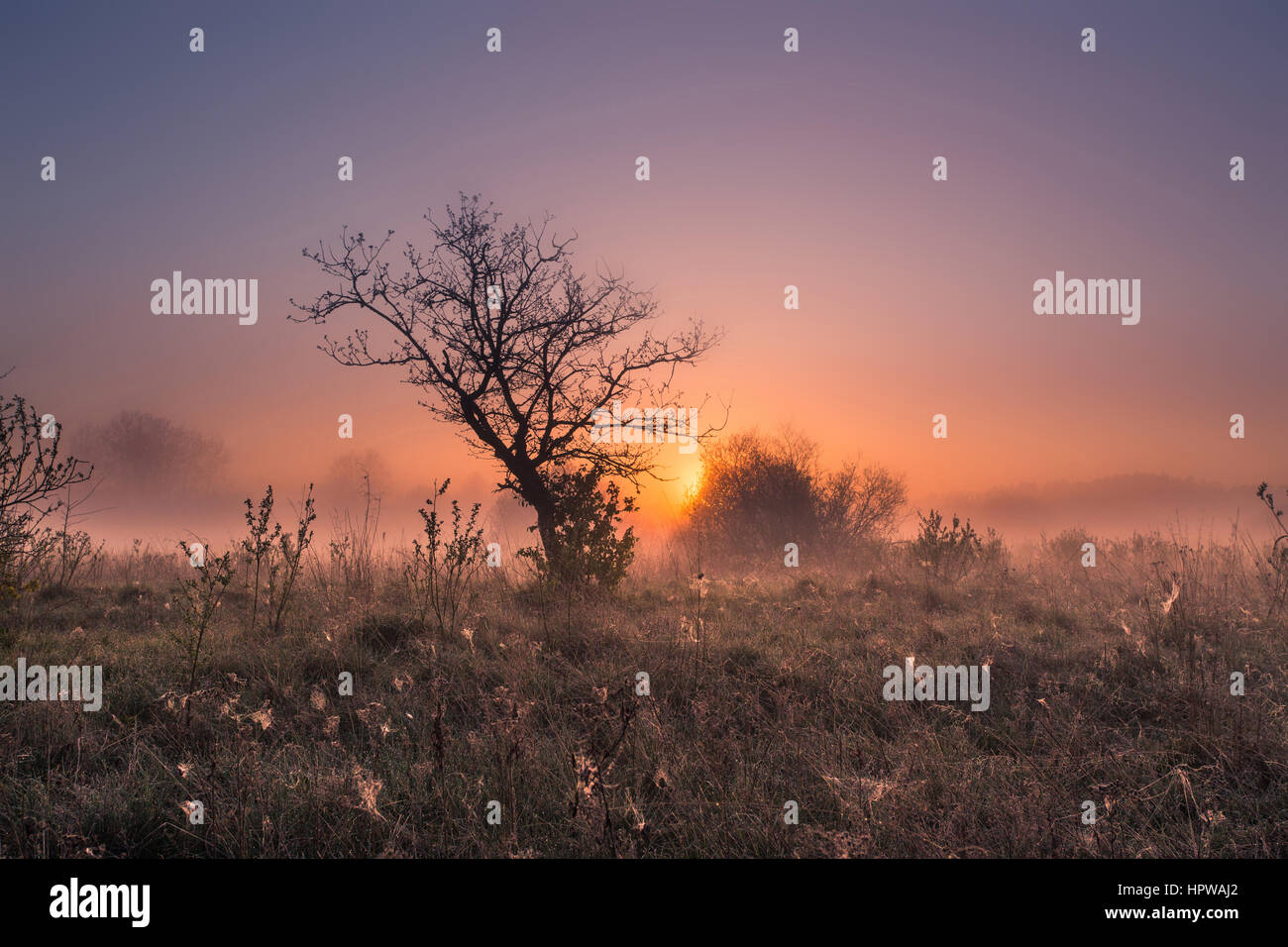 The sun shines through mist hi-res stock photography and images - Alamy