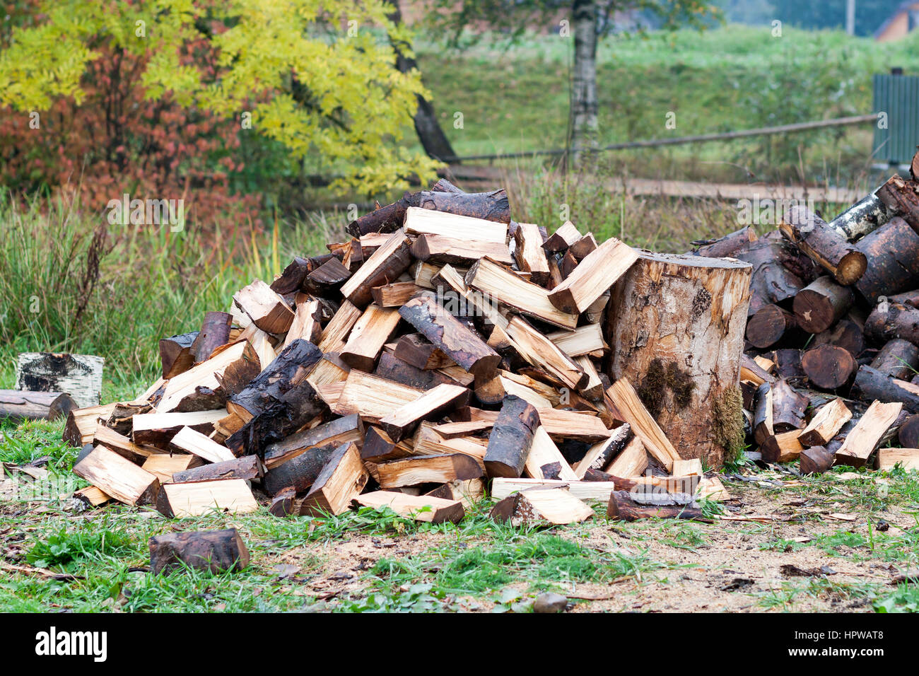 Cut logs fire wood. Renewable resource of energy. Environmental concept ...